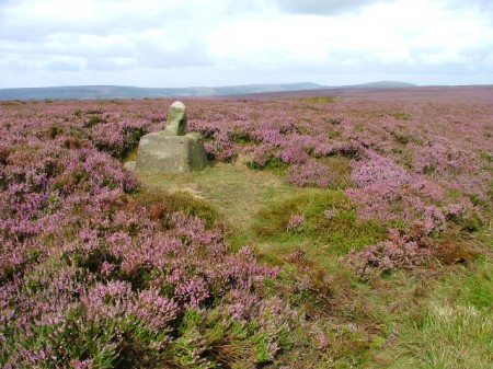 Bilsdale and Bransdale – Bill's Walks